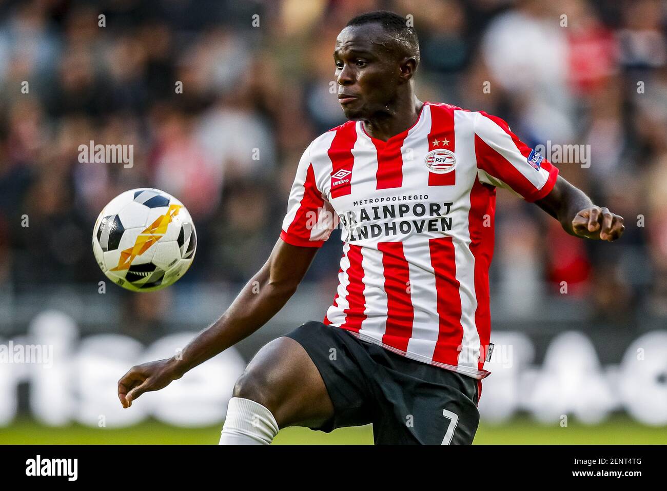 EINDHOVEN, PSV - Sporting Clube de Portugal SCP, 19-09-2019, football ...