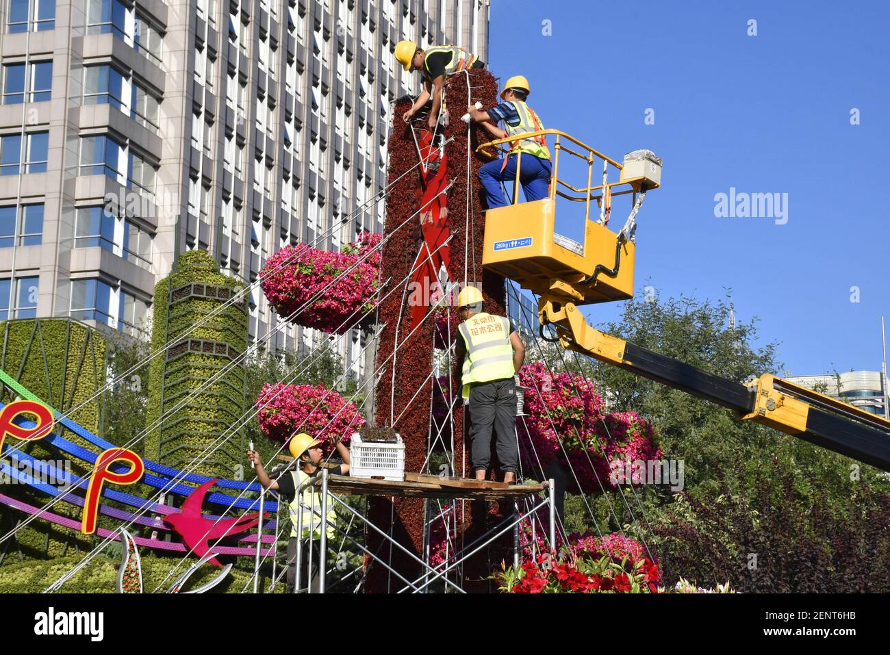 Workers work on a tree mosaiculture on the Changan Boulevard in Beijing ...