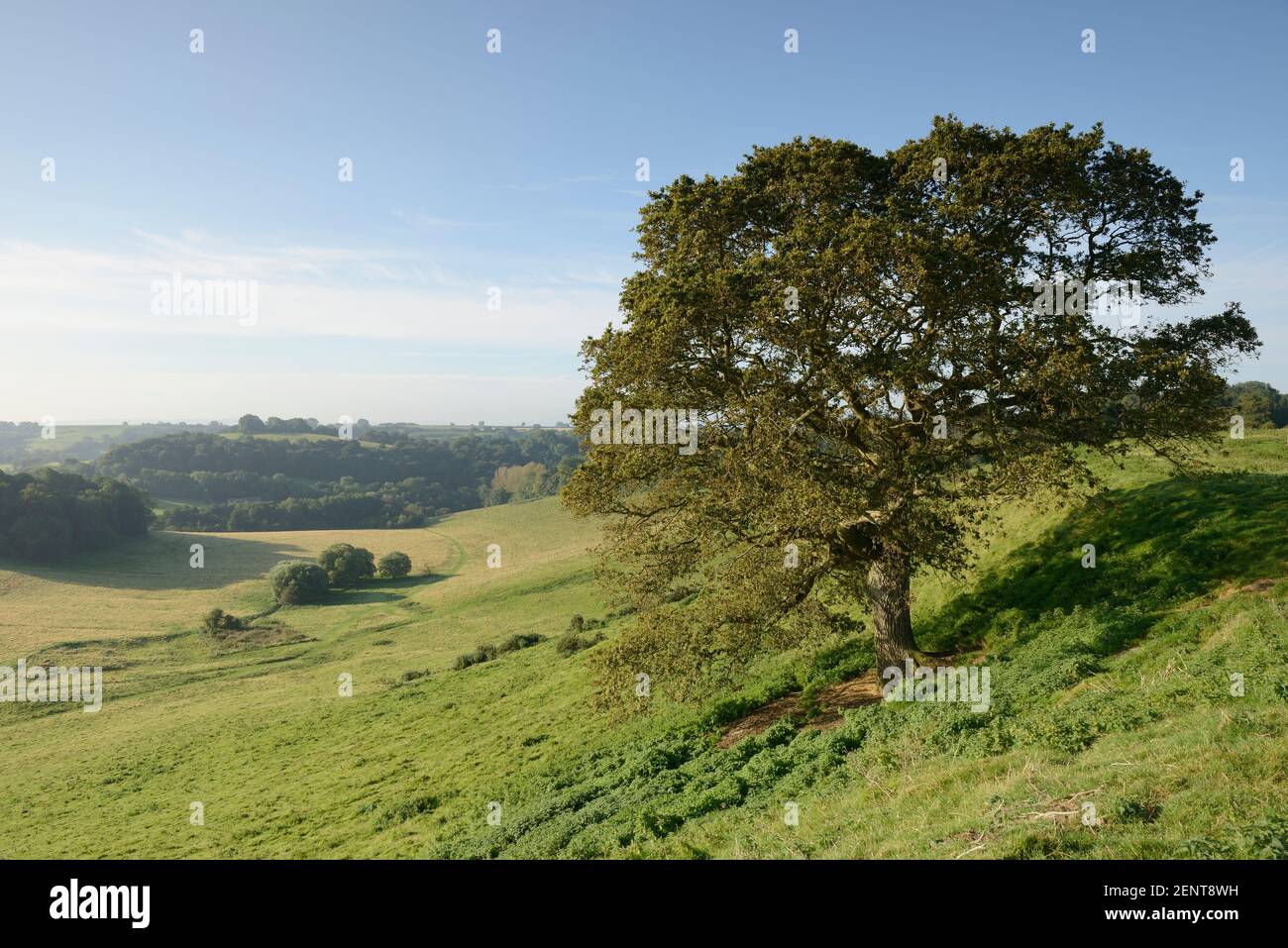An autumnal morning near Ham Hill Country Park in Somerset, UK Stock ...