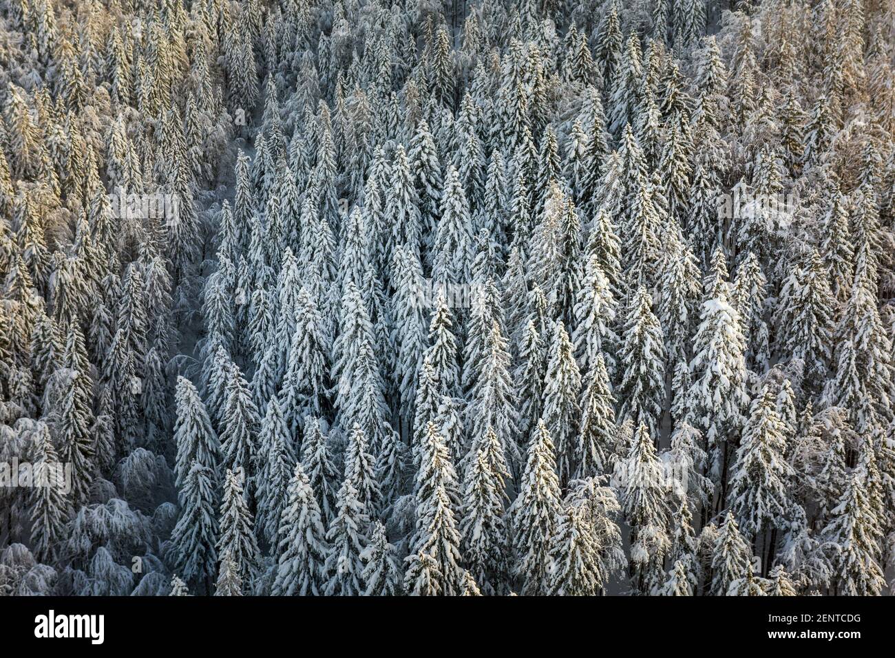 Aerial shot revealing beautiful natural hi-res stock photography and ...