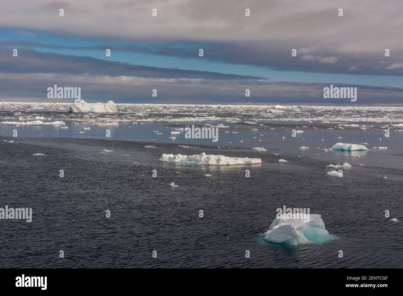 Ice floes in the Erik Eriksenstretet, strait separating Kong Karls Land ...