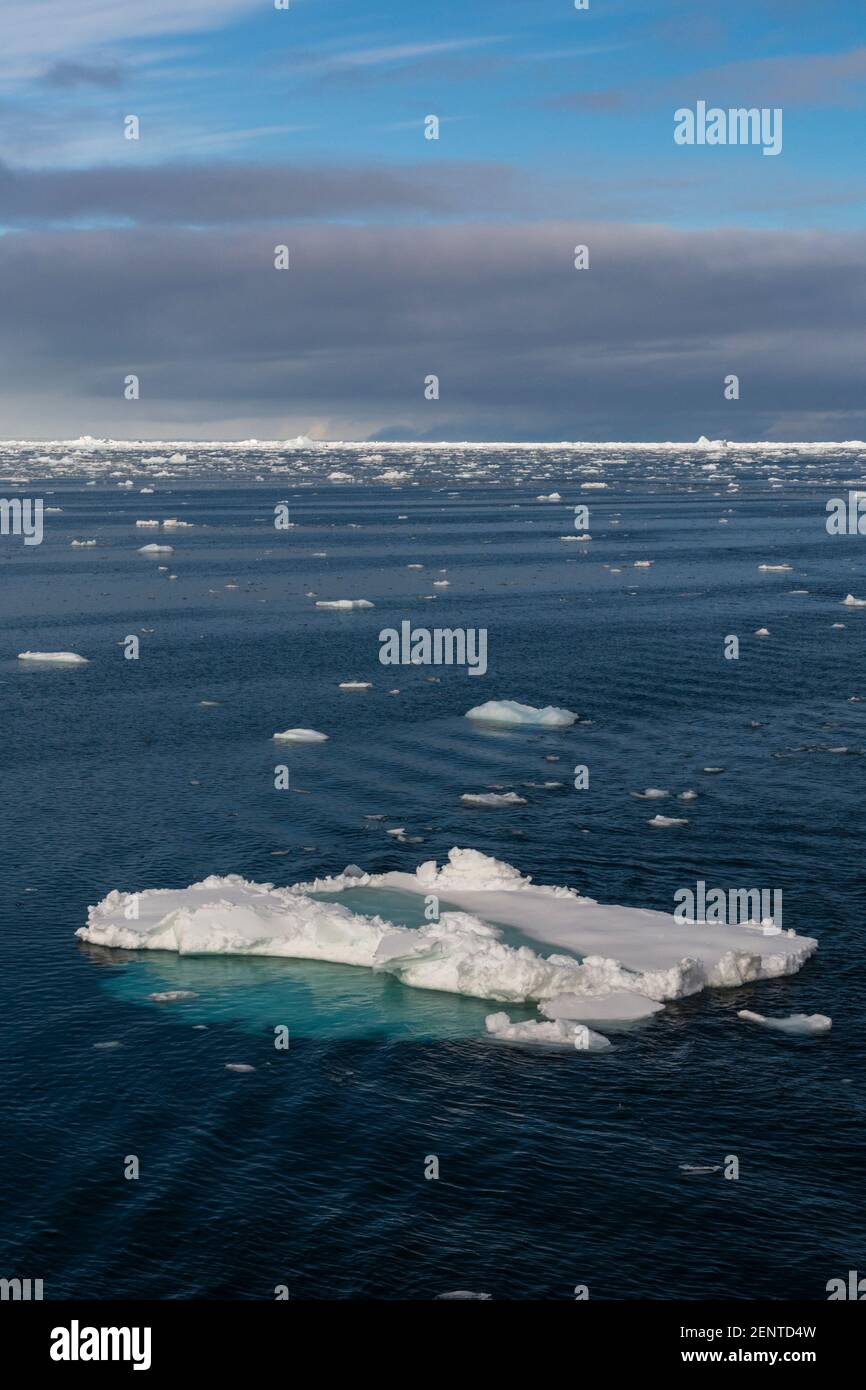 Ice floes in the Erik Eriksenstretet, strait separating Kong Karls Land ...