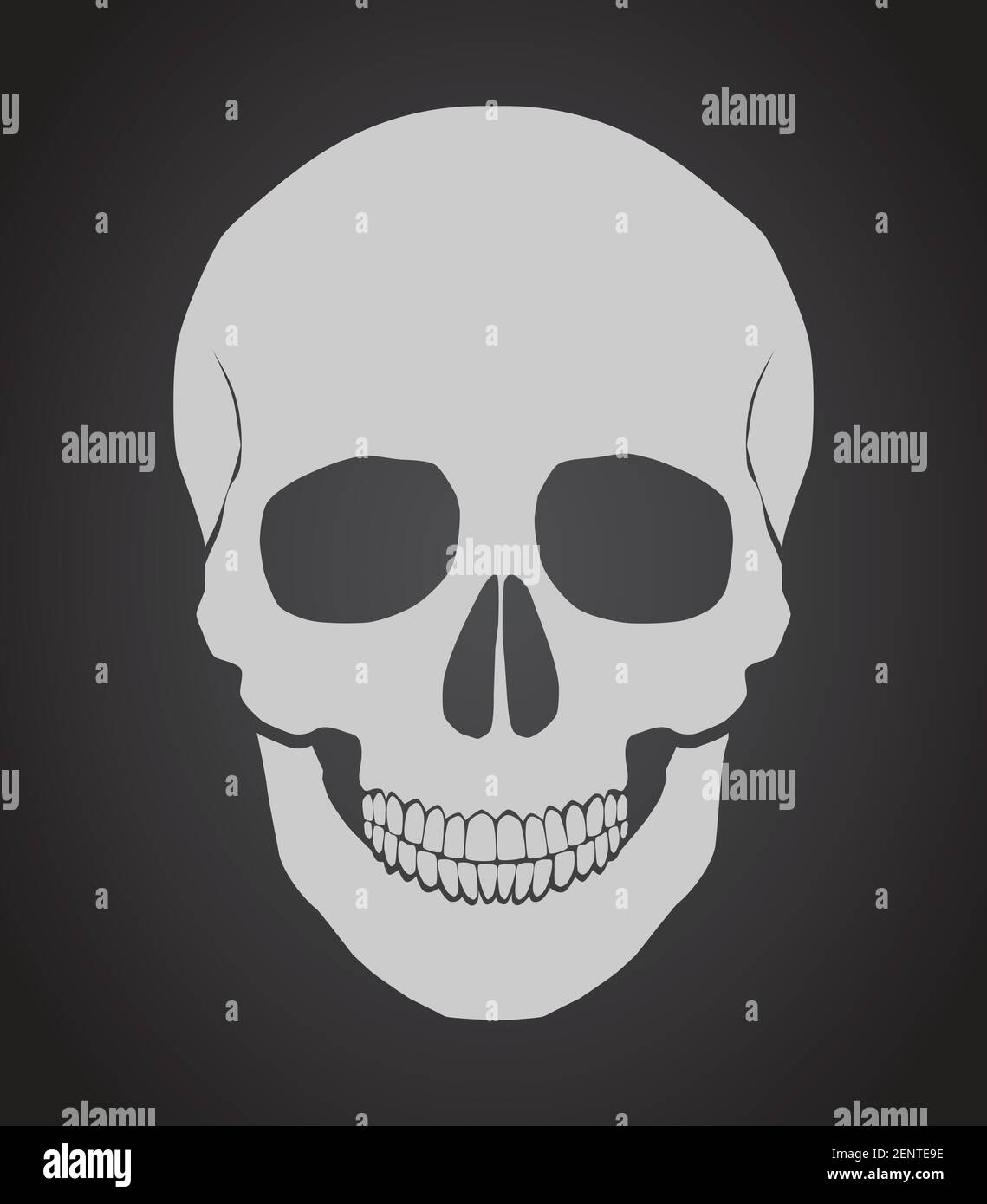 Human skull vector hi-res stock photography and images - Alamy