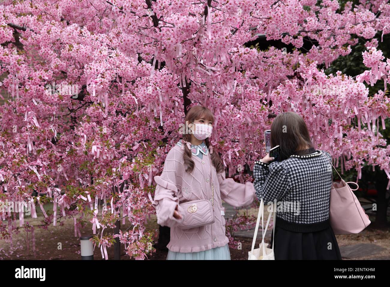 Young women wearing face masks take selfies in front of the Kozu Zakura ...