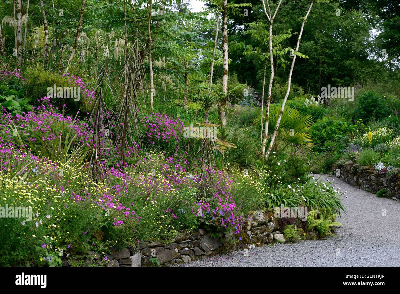 Underplant hi-res stock photography and images - Alamy