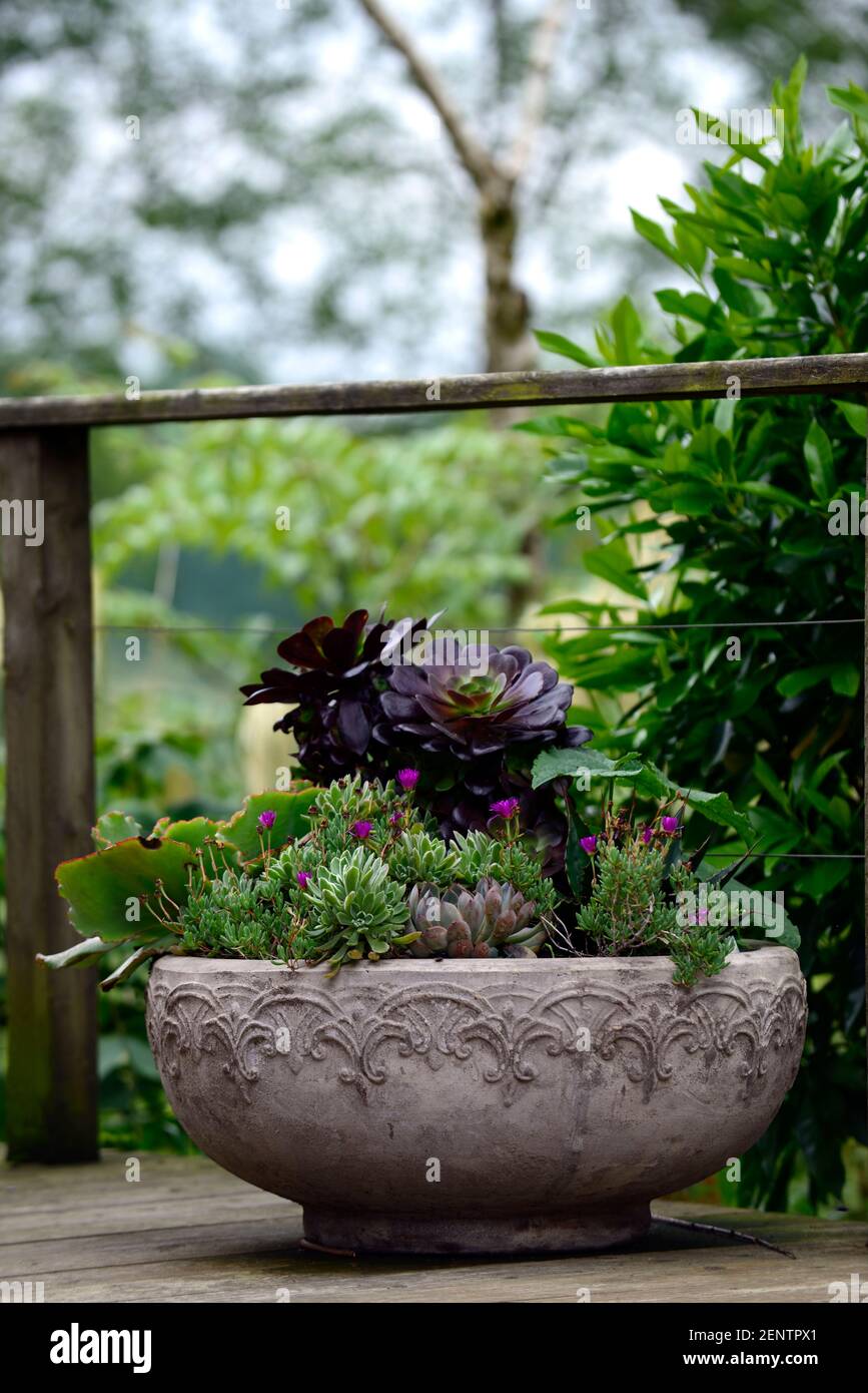Unusual Plant Pots High Resolution Stock Photography and Images - Alamy