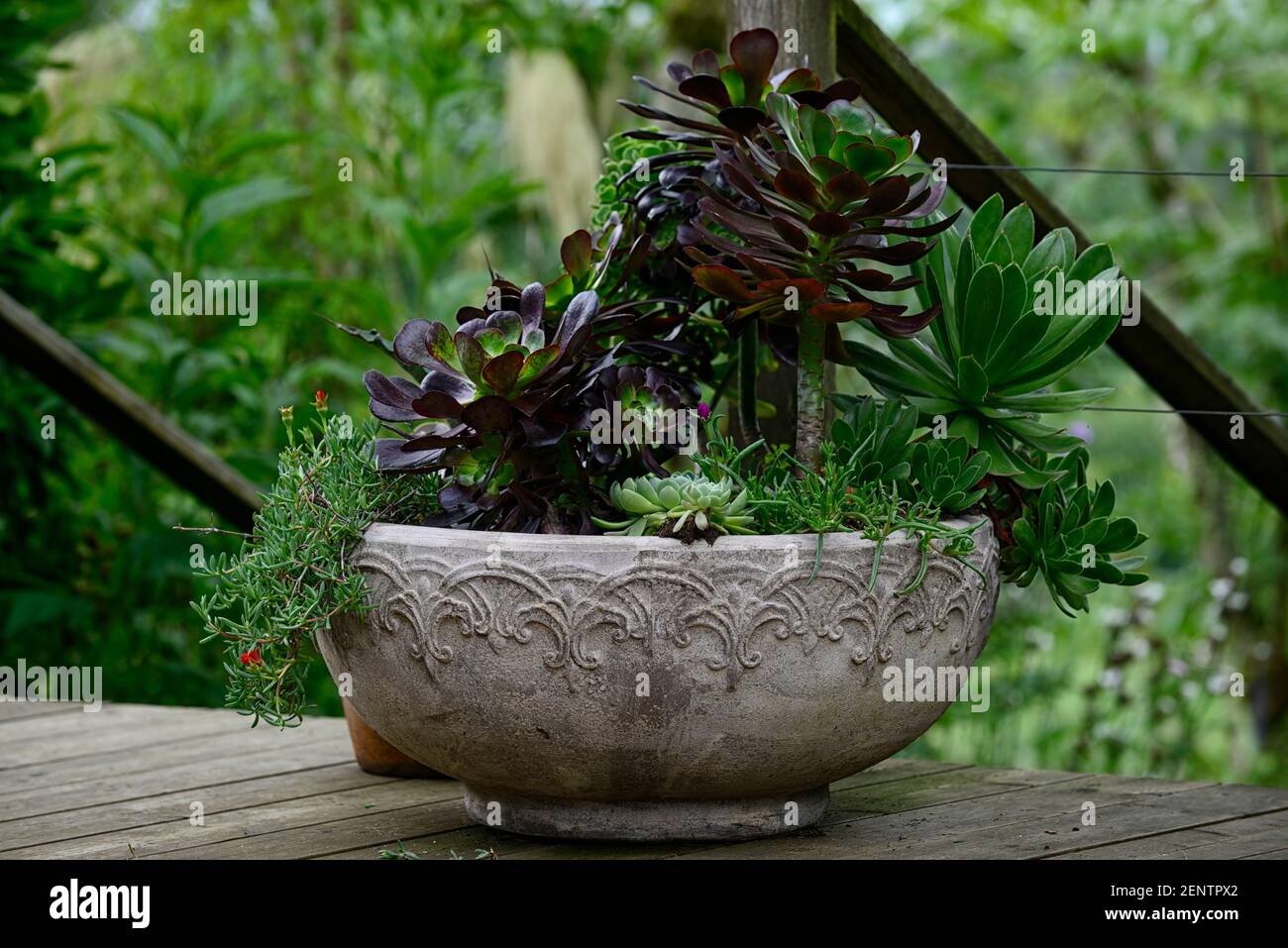 Unusual plant pots hi-res stock photography and images - Alamy