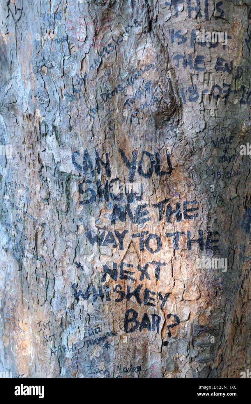 Jim morrisons grave pere lachaise cemetery hi-res stock photography and ...