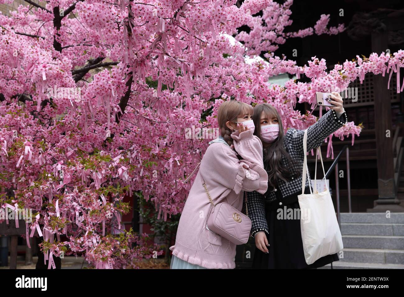 Young women wearing face masks take selfies in front of the Kozu Zakura ...