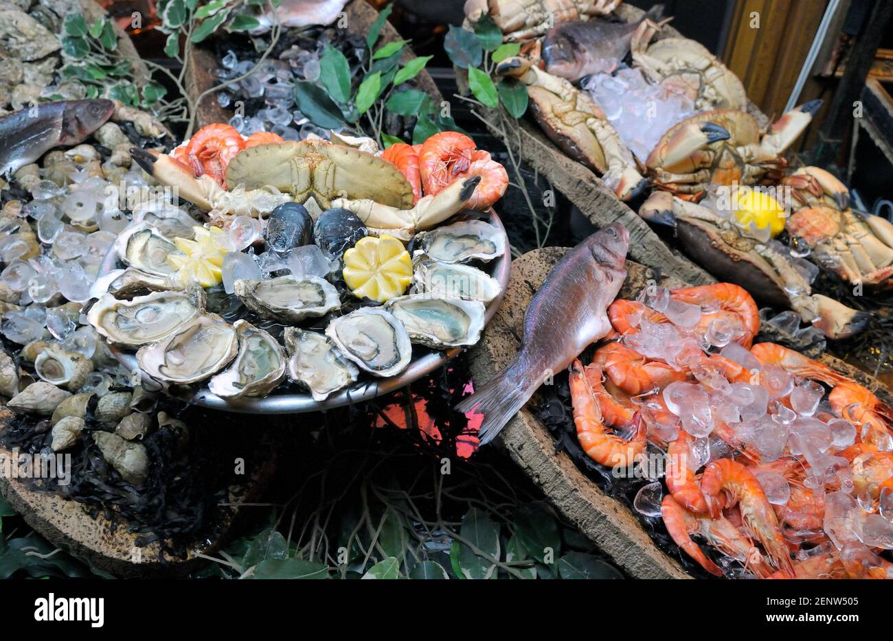 Fresh seafood at a Paris restaurant, Paris, Île-de-France, France Stock ...