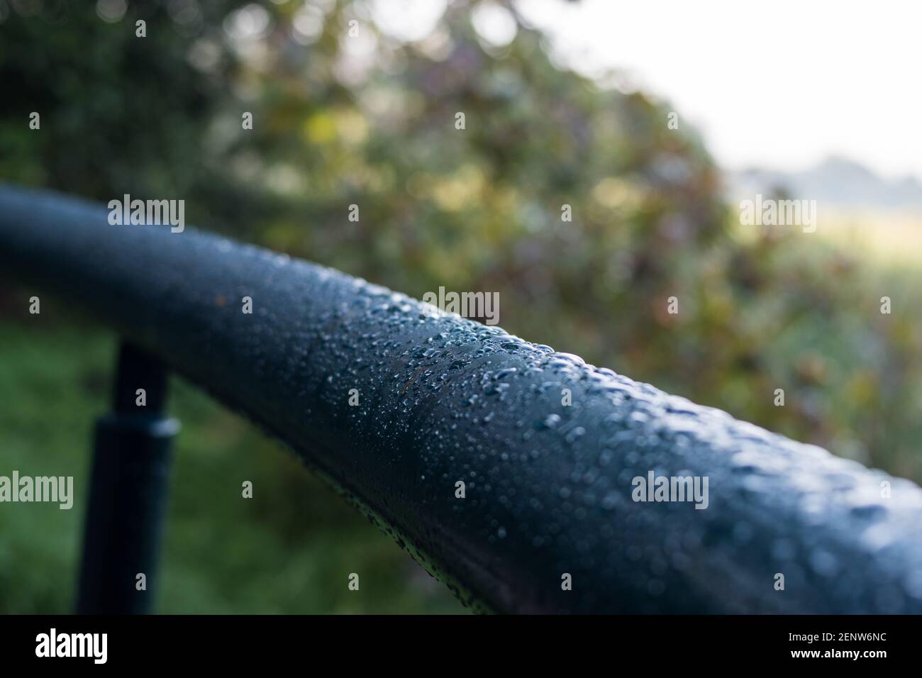 Wet railing hi-res stock photography and images - Alamy