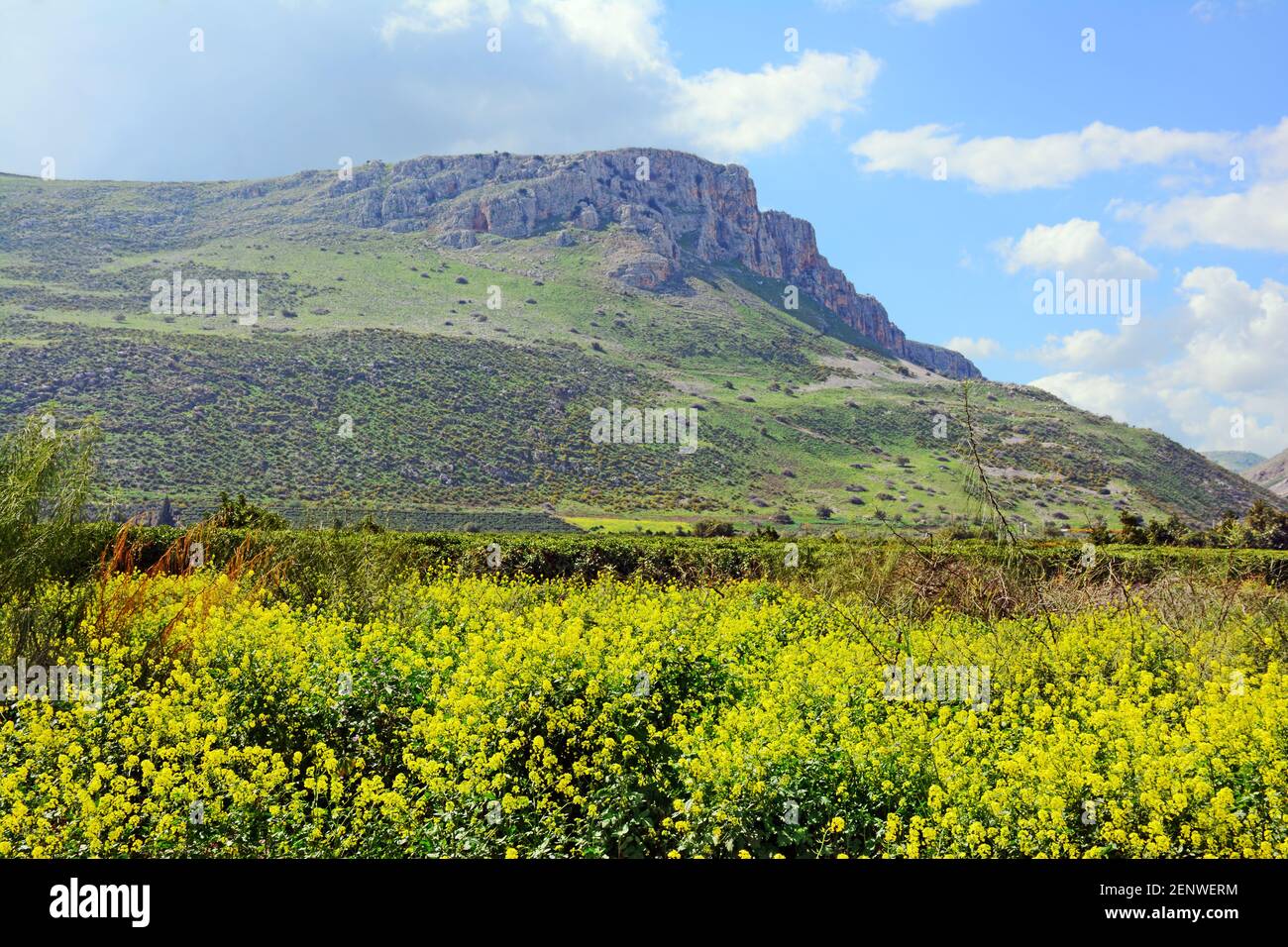Mount arbel hi-res stock photography and images - Alamy