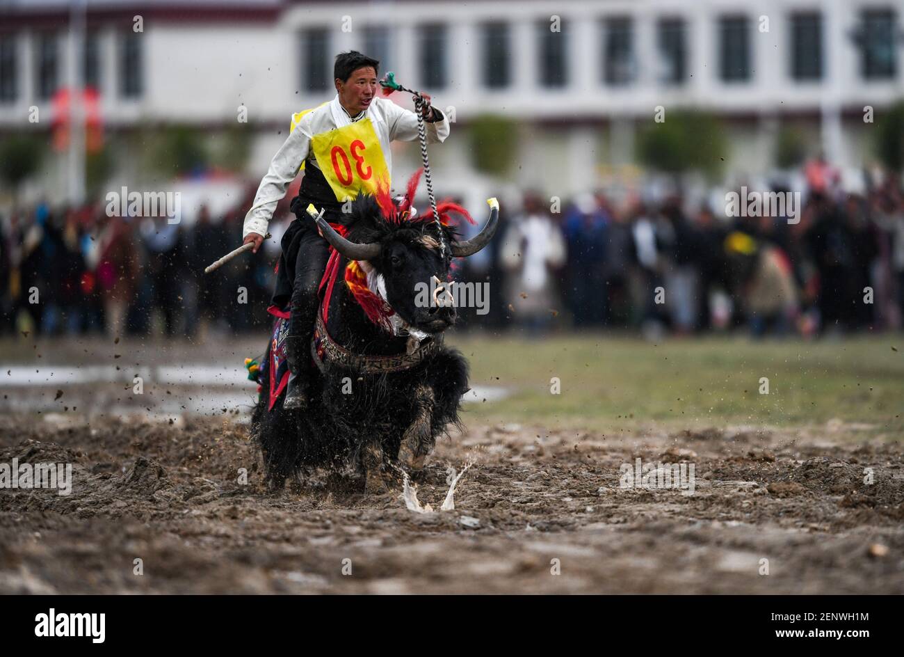 People join the traditional yak racing to celebrate the harvest in ...