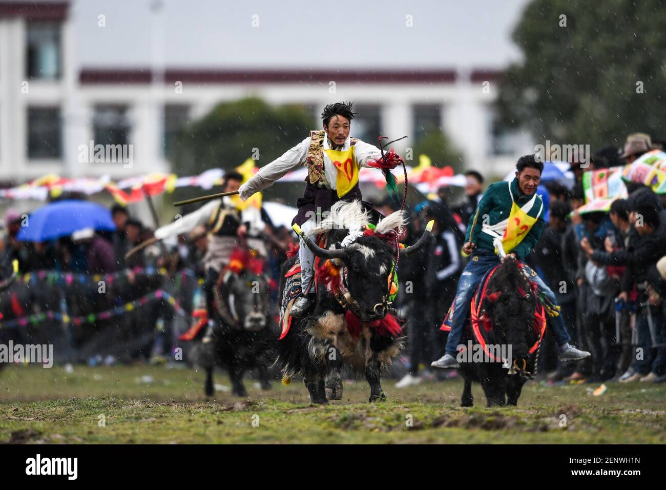People join the traditional yak racing to celebrate the harvest in ...