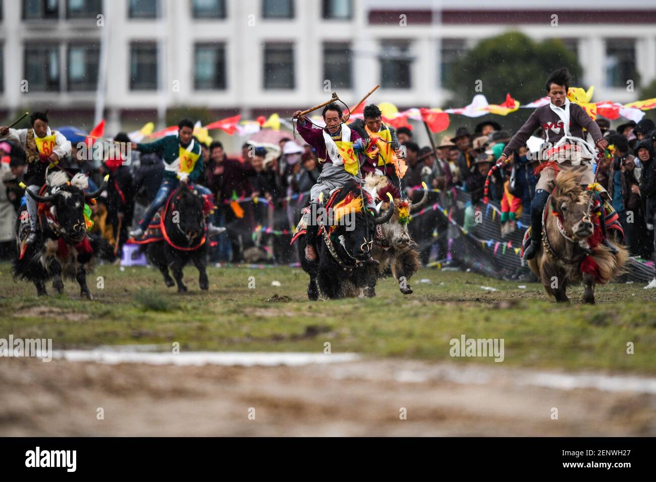 People join the traditional yak racing to celebrate the harvest in ...