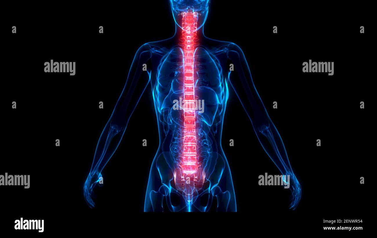 Body scan symbol hi-res stock photography and images - Alamy