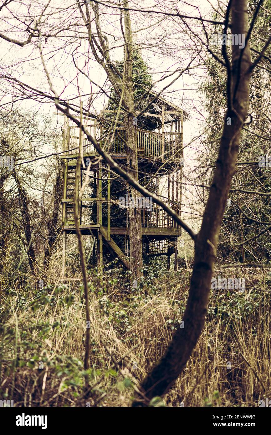 Giant unfinished tree house, Newbourne Suffolk, UK Stock Photo - Alamy