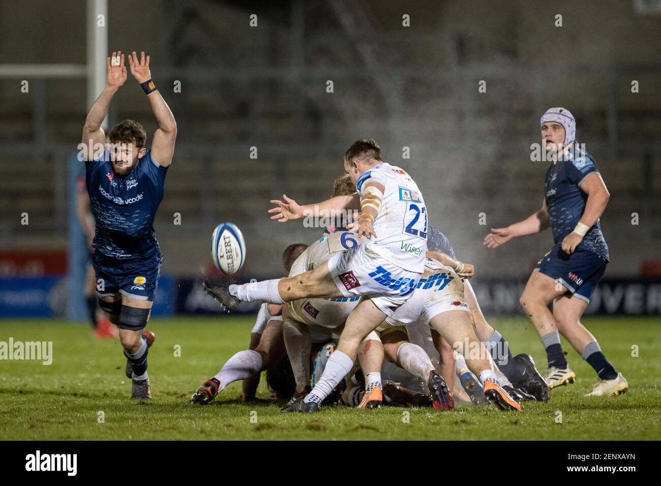 Stu townsend of exeter chiefs hi-res stock photography and images - Alamy