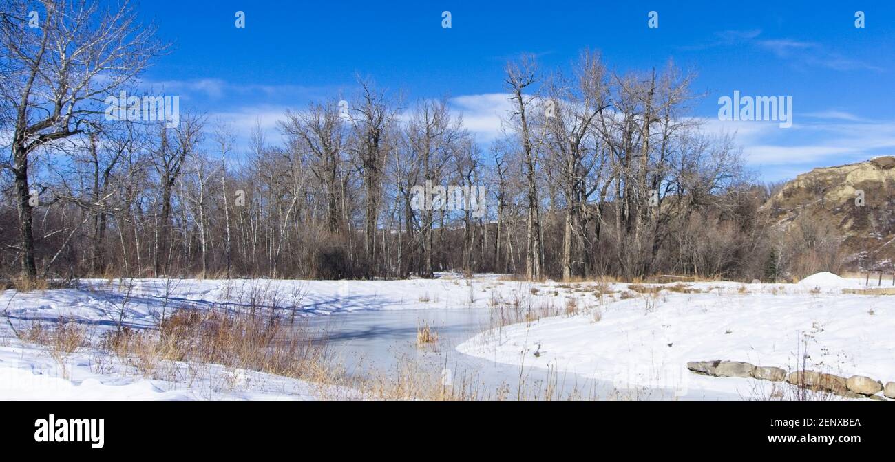 Bowmont Park Calgary Alberta Stock Photo - Alamy