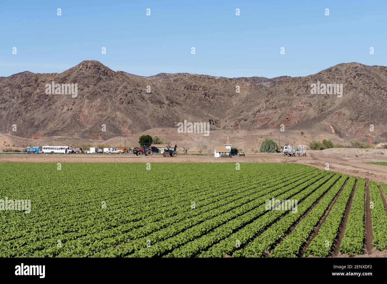 Yuma arizona farm hi-res stock photography and images - Alamy