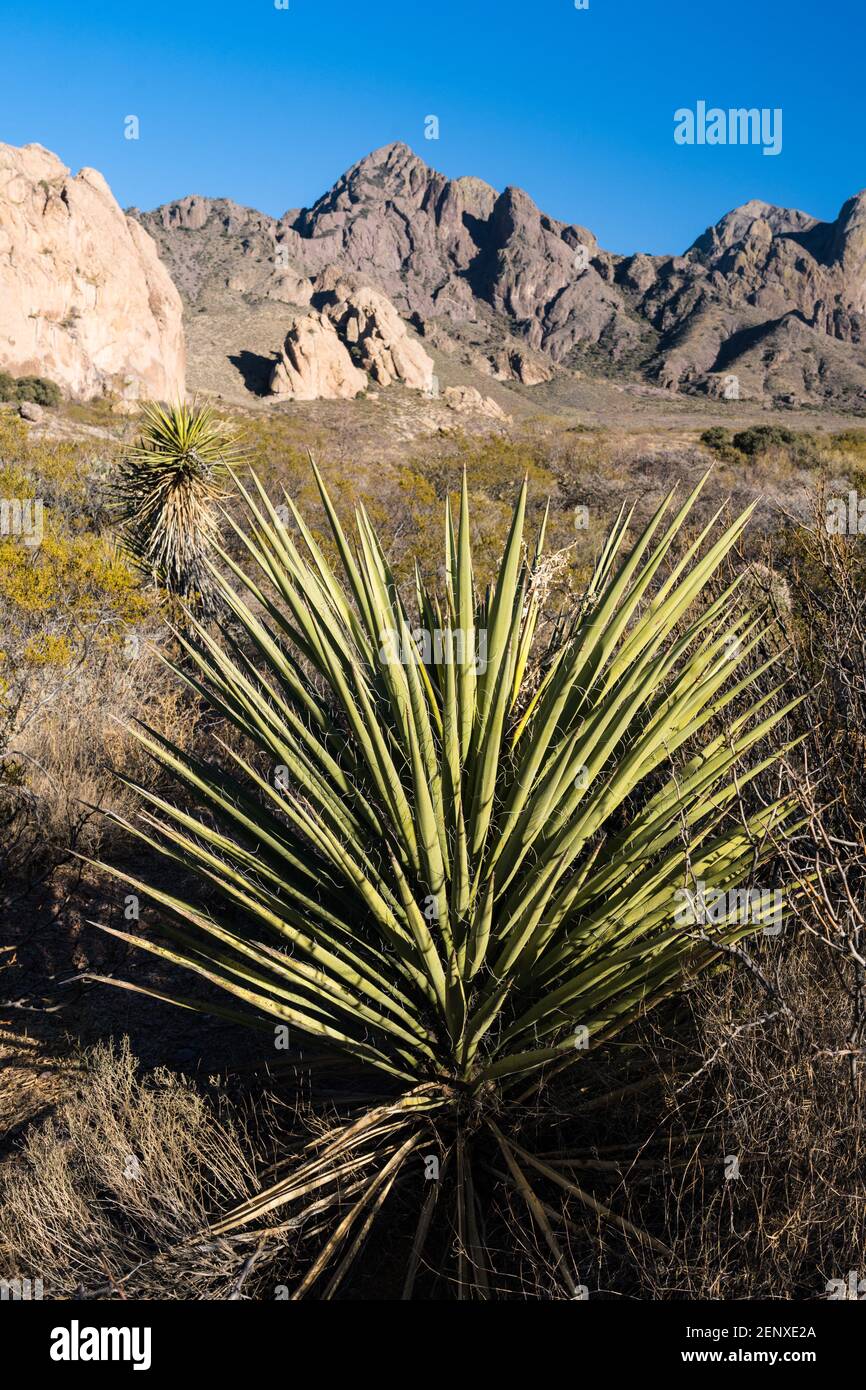 Organ Mountains - Desert Peaks National Monument, near Las Cruces, New ...
