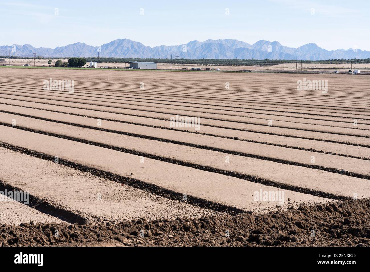 Yuma arizona farm hi-res stock photography and images - Alamy