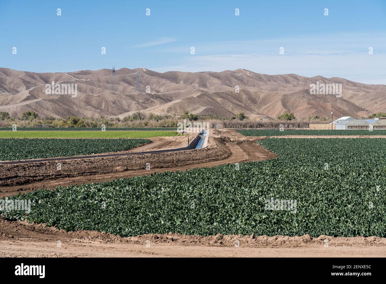 Irrigation system cabbage hi-res stock photography and images - Alamy