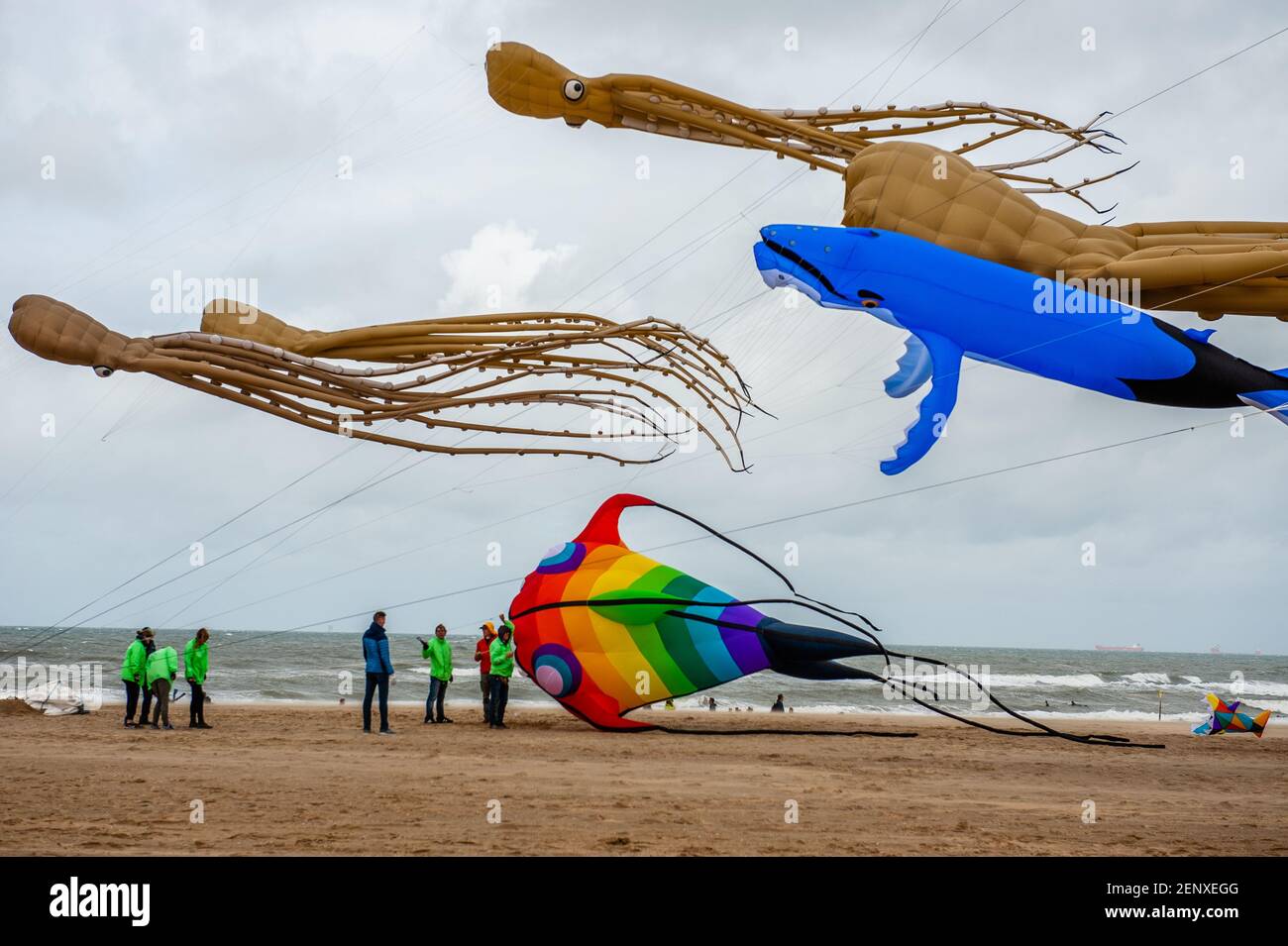 Animal Kites
