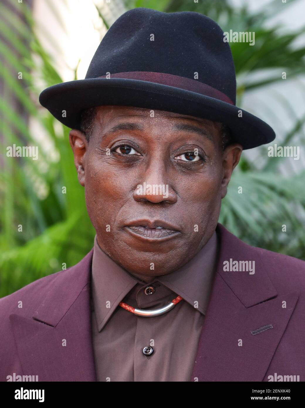 WESTWOOD, LOS ANGELES, CALIFORNIA, USA - SEPTEMBER 28: Actor Wesley ...