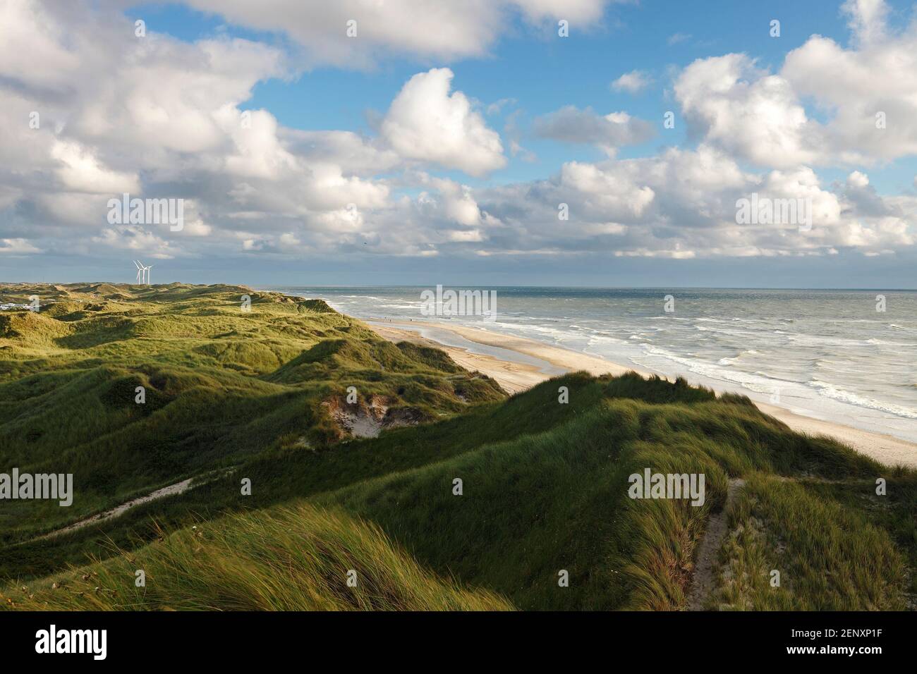 beach and dunes of Hvide Sande at the North Sea, Denmark Stock Photo ...