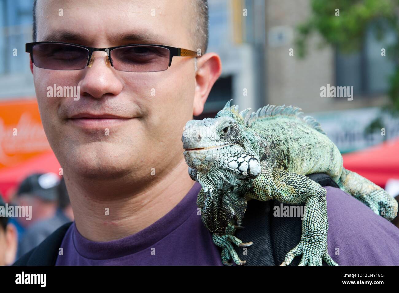 Iguana on shoulder man hi-res stock photography and images - Alamy
