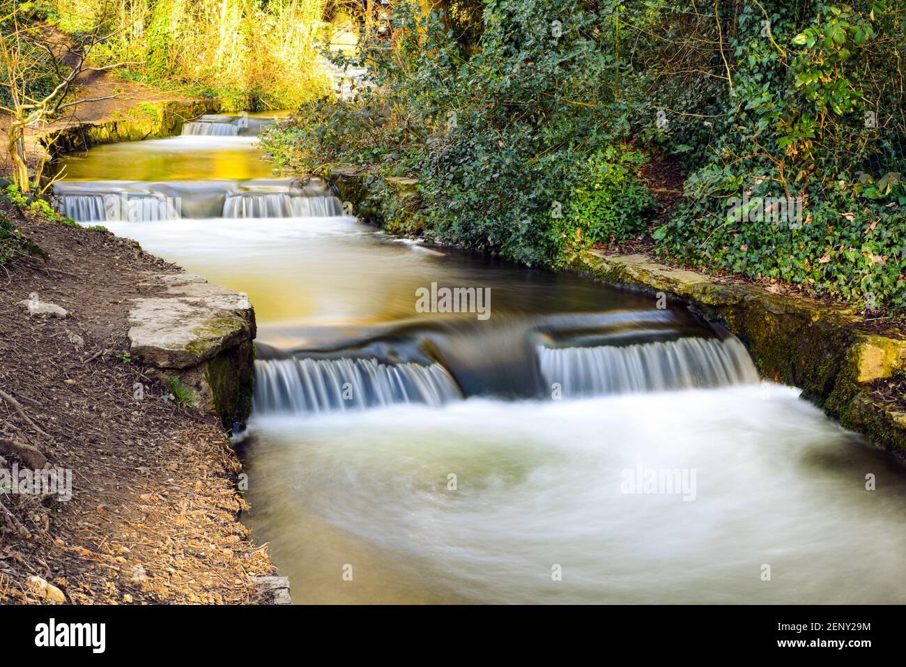 River with fast flowing water and splashing falls in a woods on a sunny ...