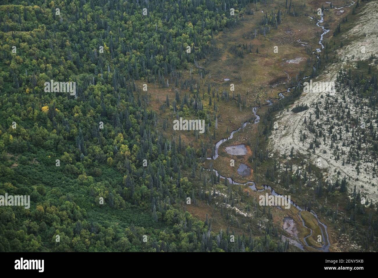 The landscape surrounding the site of Pebble Partnership's proposed ...