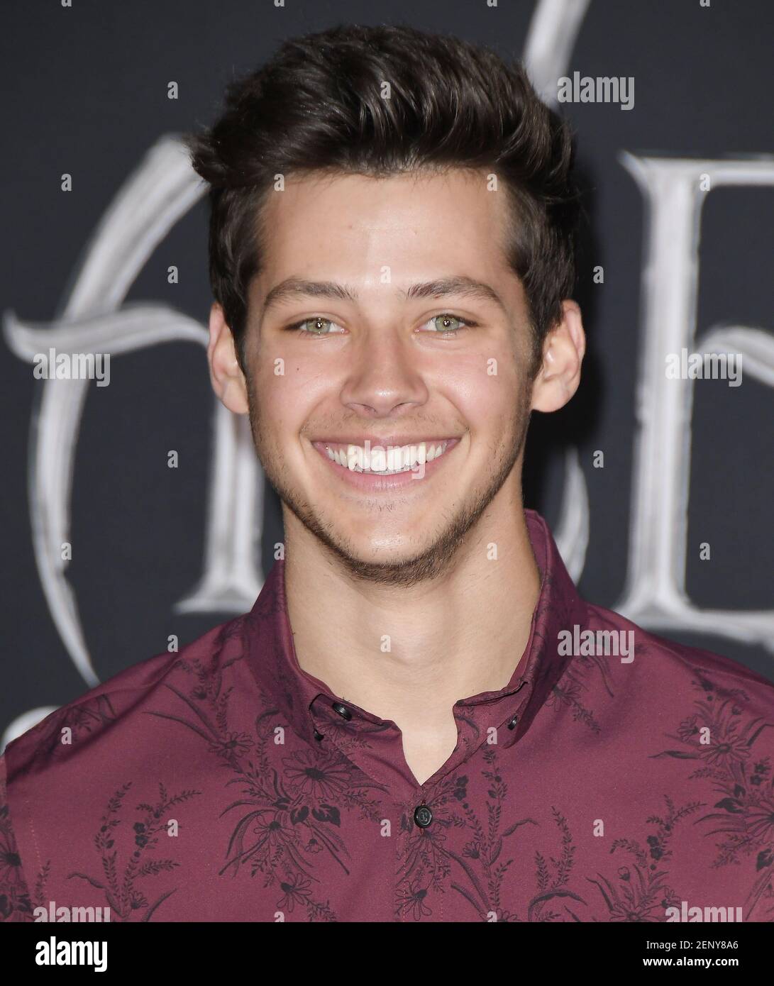 Matt Cornett arrives at Disney’s MALEFICENT MISTRESS OF EVIL World ...