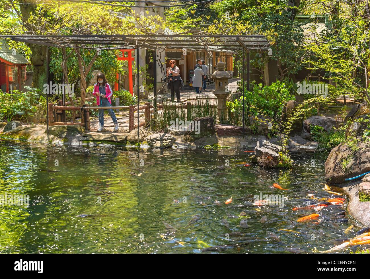 Koi pond shrine hi-res stock photography and images - Alamy