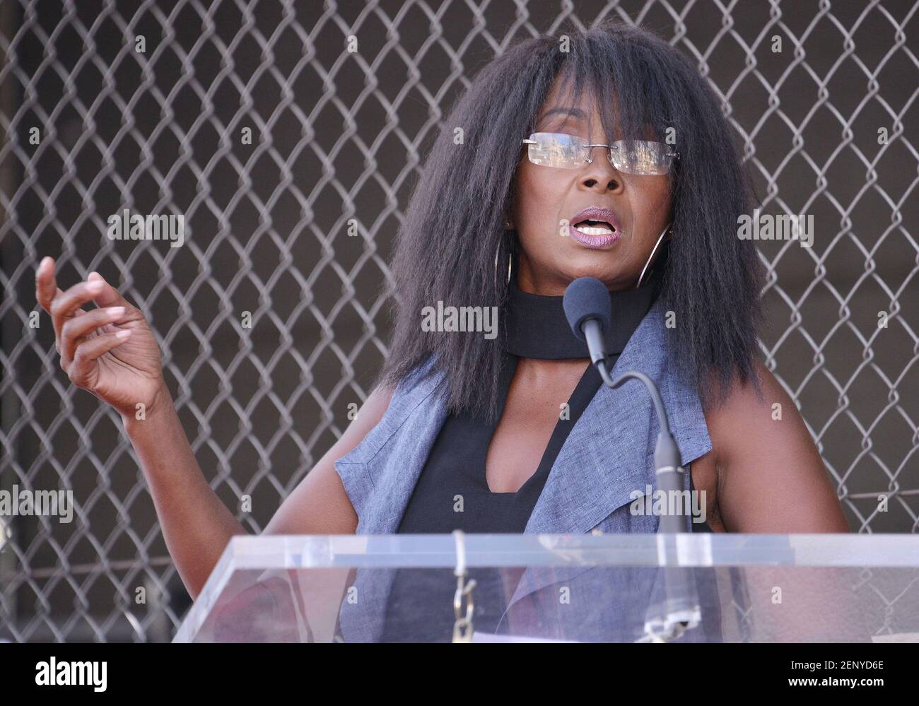 Crystal fox High Resolution Stock Photography and Images - Alamy