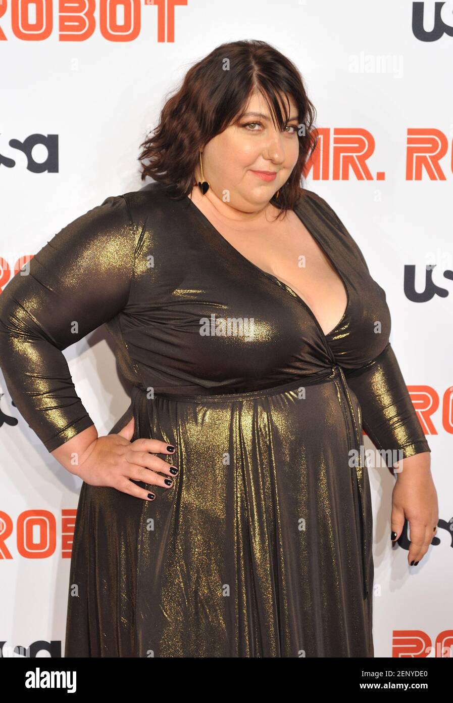 Actress Ashlie Atkinson attends the sesaon four premiere of USA's Mr ...