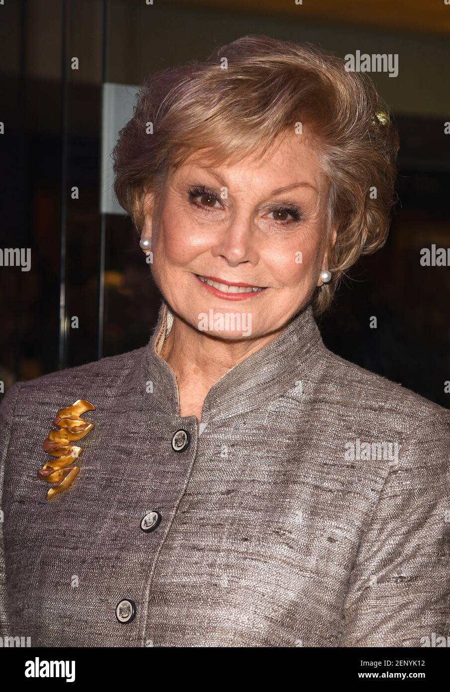 Angela Rippon at the A Day in the Death of Joe Egg - Press Night at the ...