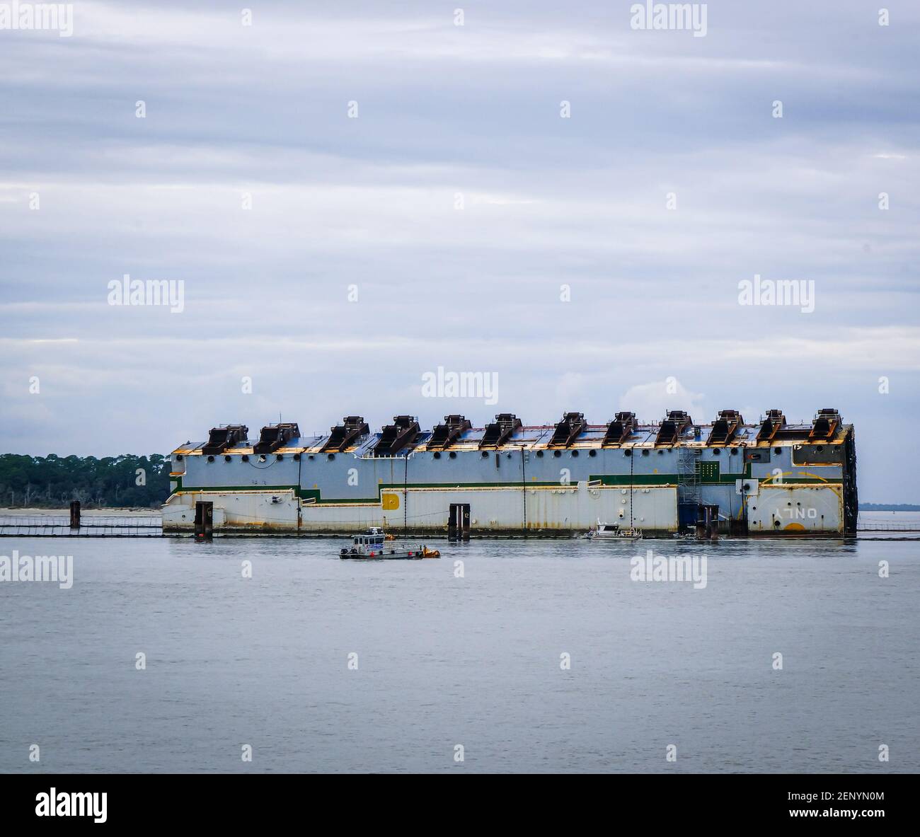 Golden ray cargo ship hi-res stock photography and images - Alamy