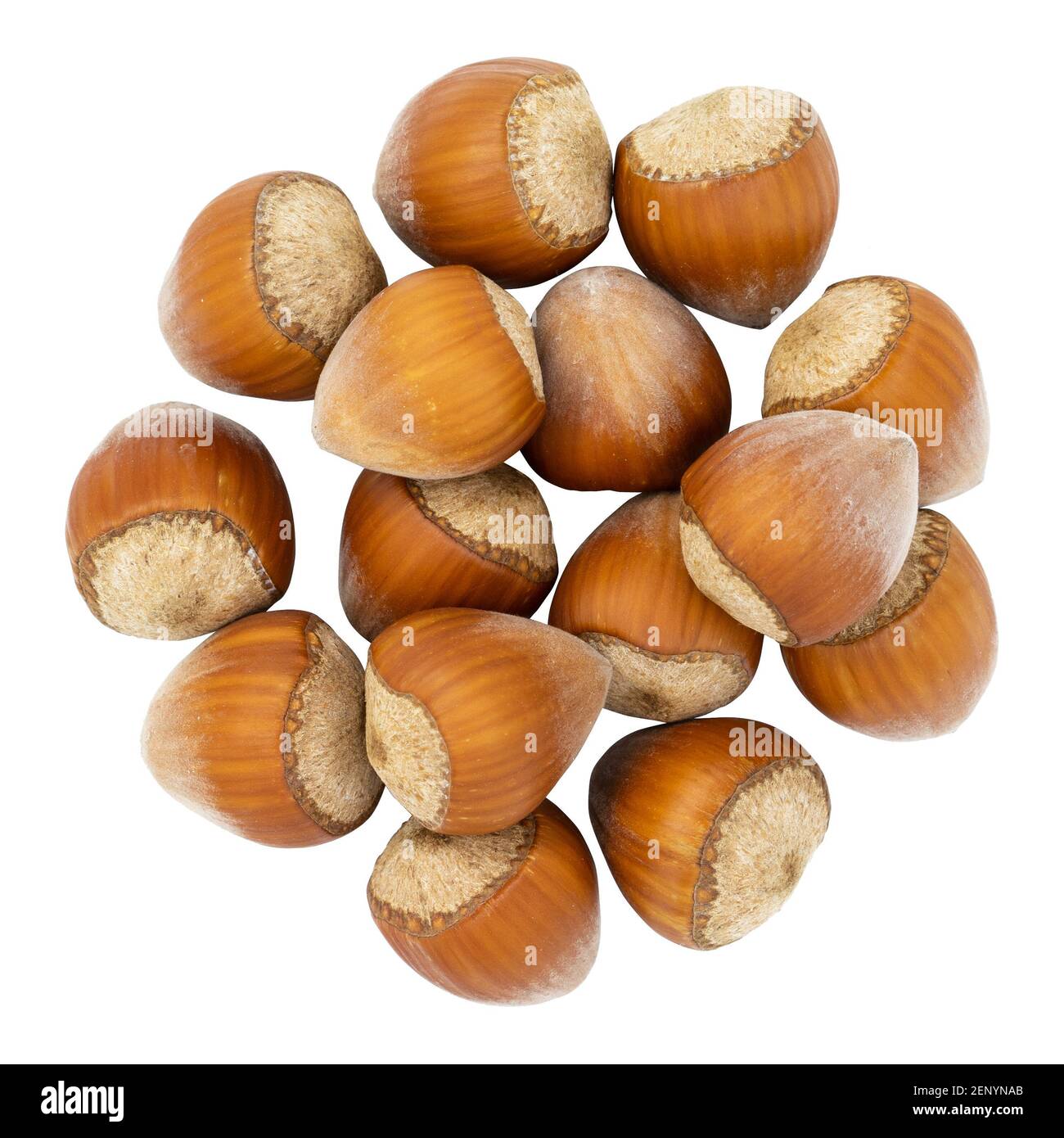 Top view of hazelnuts isolated on white background. Fresh hazelnuts in ...