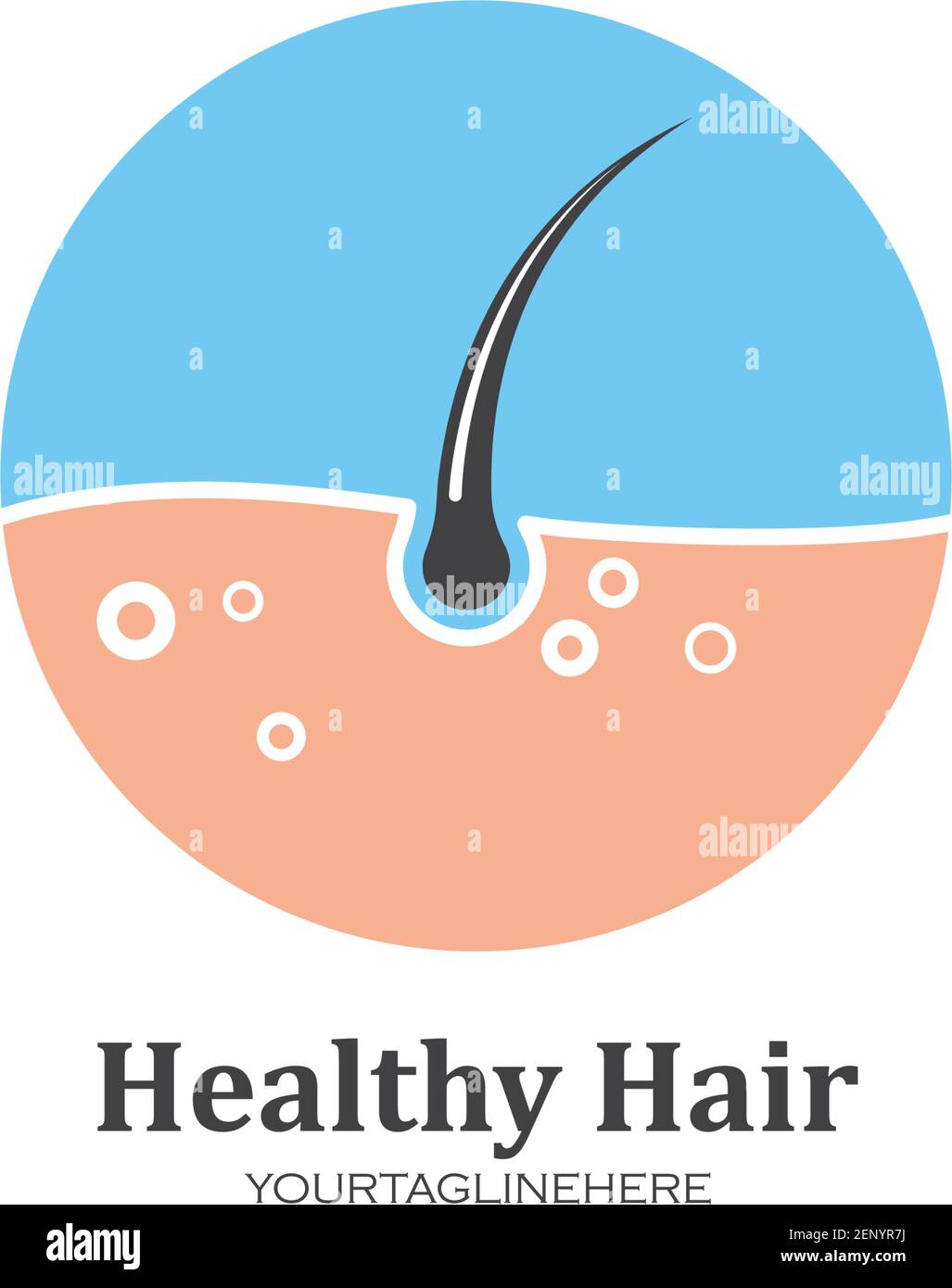 hair root icon vector illustration design template Stock Vector Image ...
