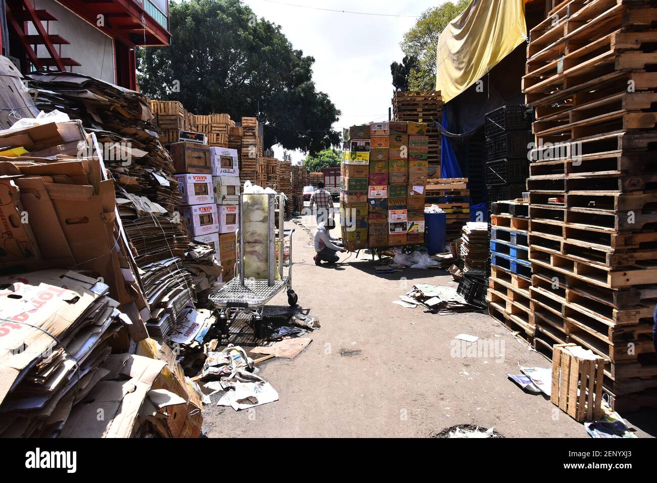 A man is seen working accommodating boxes of fruit and vegetables in ...