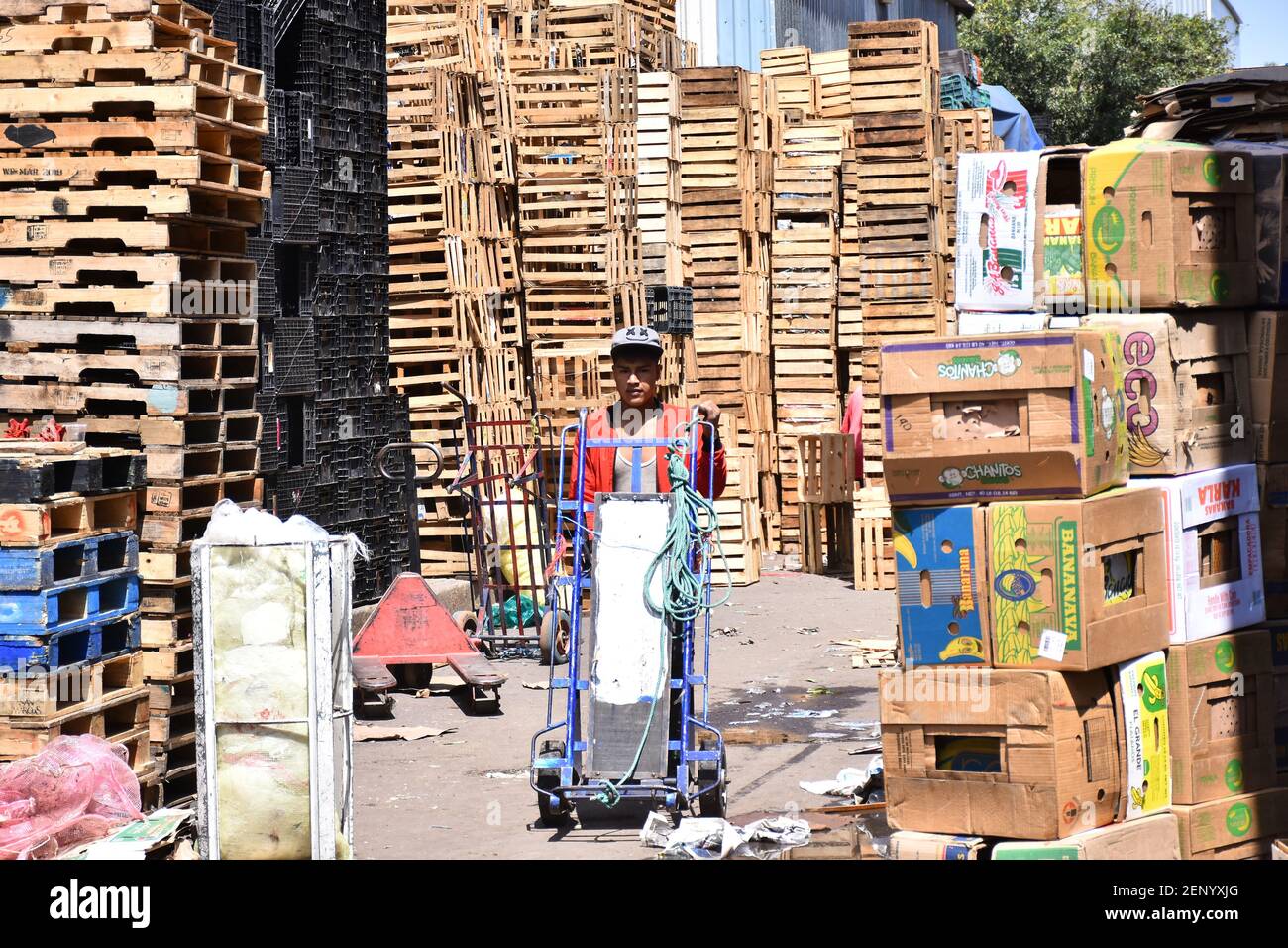 A man is seen working accommodating boxes of fruit and vegetables in ...