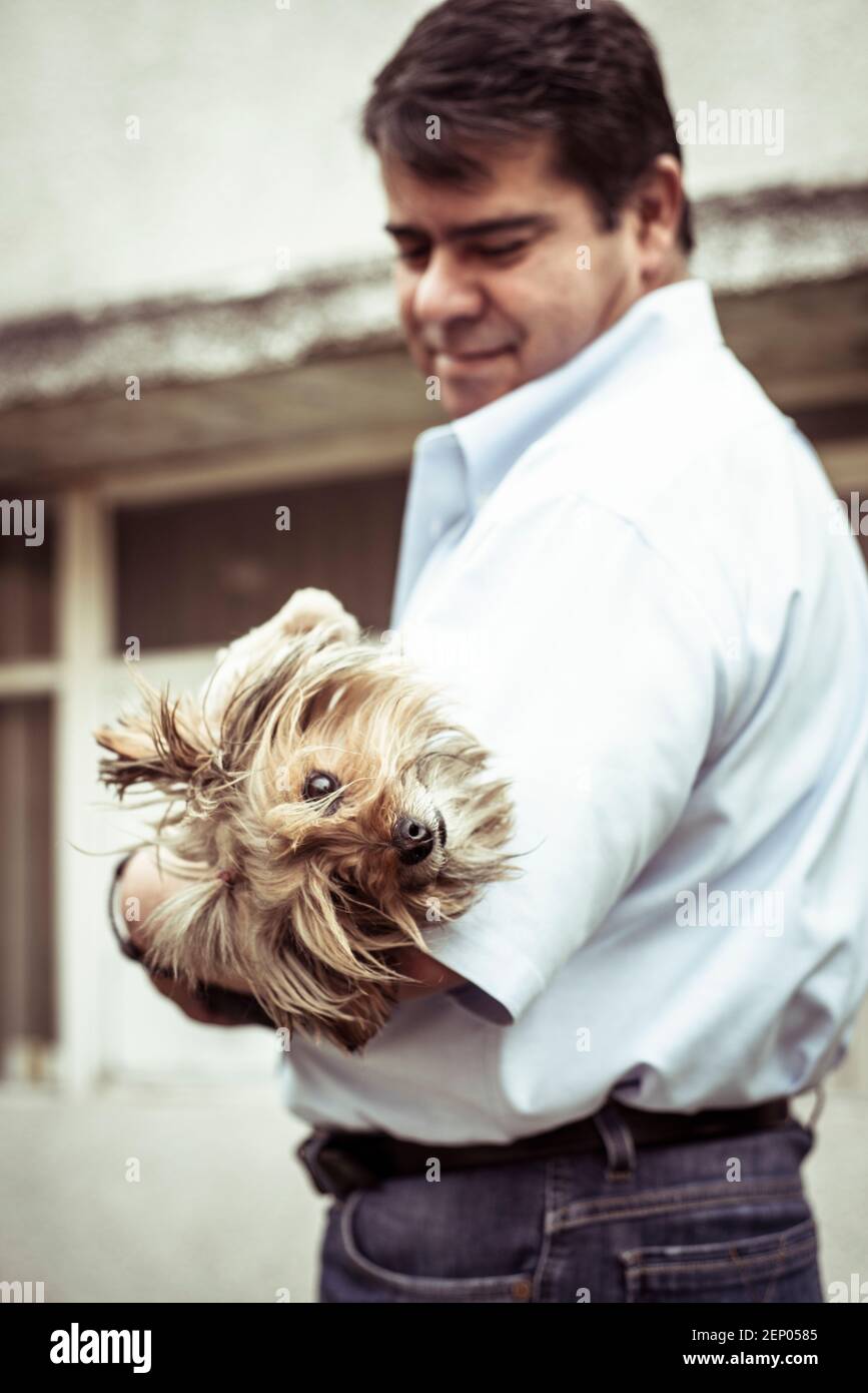 Happy scruffy dog hi-res stock photography and images - Alamy