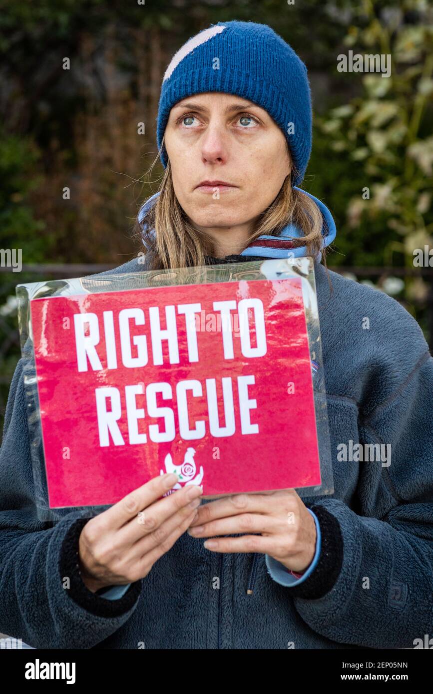 An animal rights activists from "Direct Action Everywhere New York City ...