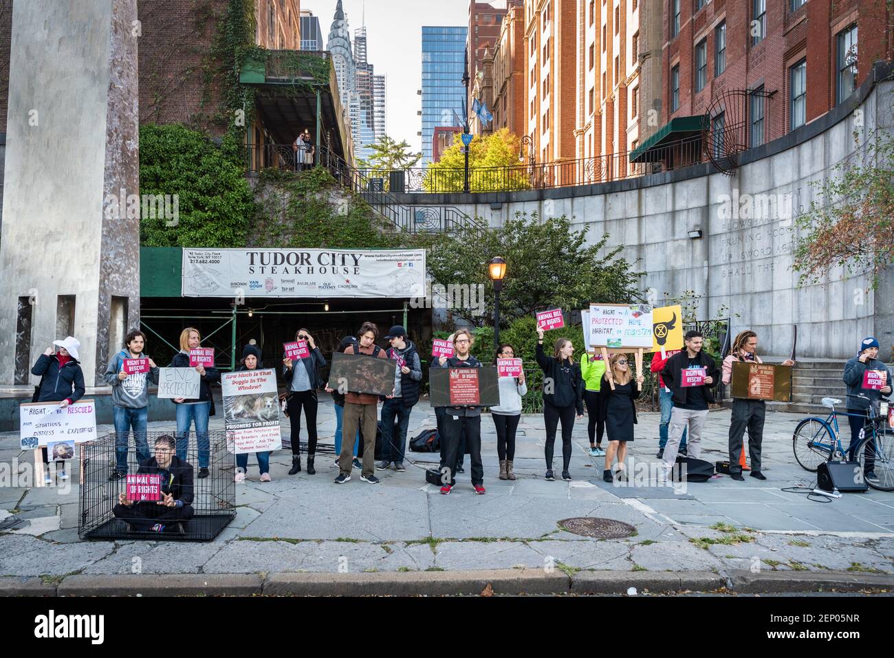 Animal rights activists from "Direct Action Everywhere New York City ...