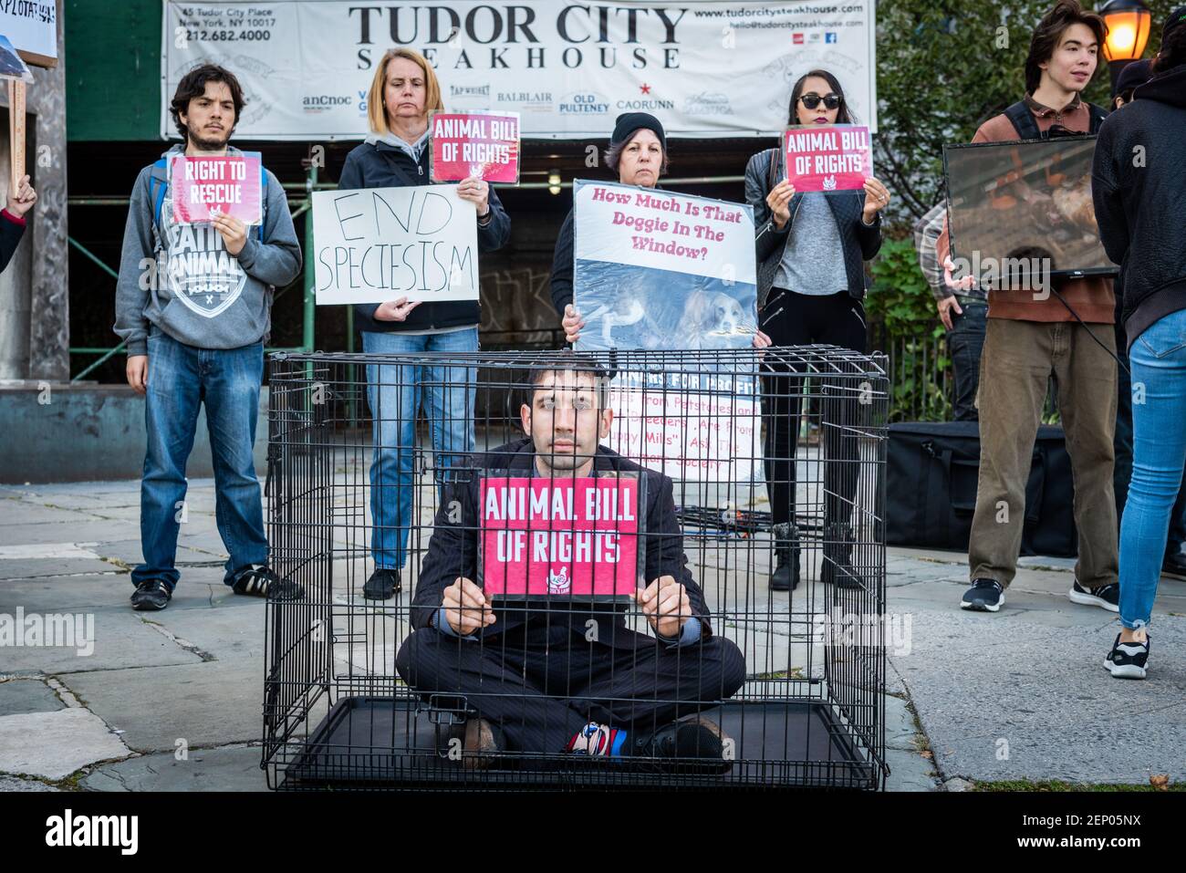 An animal rights activist in a cage symbolizing the suffering of abused ...