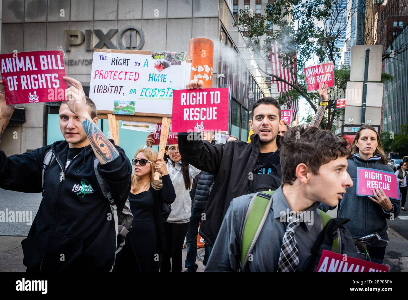 Animal rights activists from "Direct Action Everywhere New York City ...
