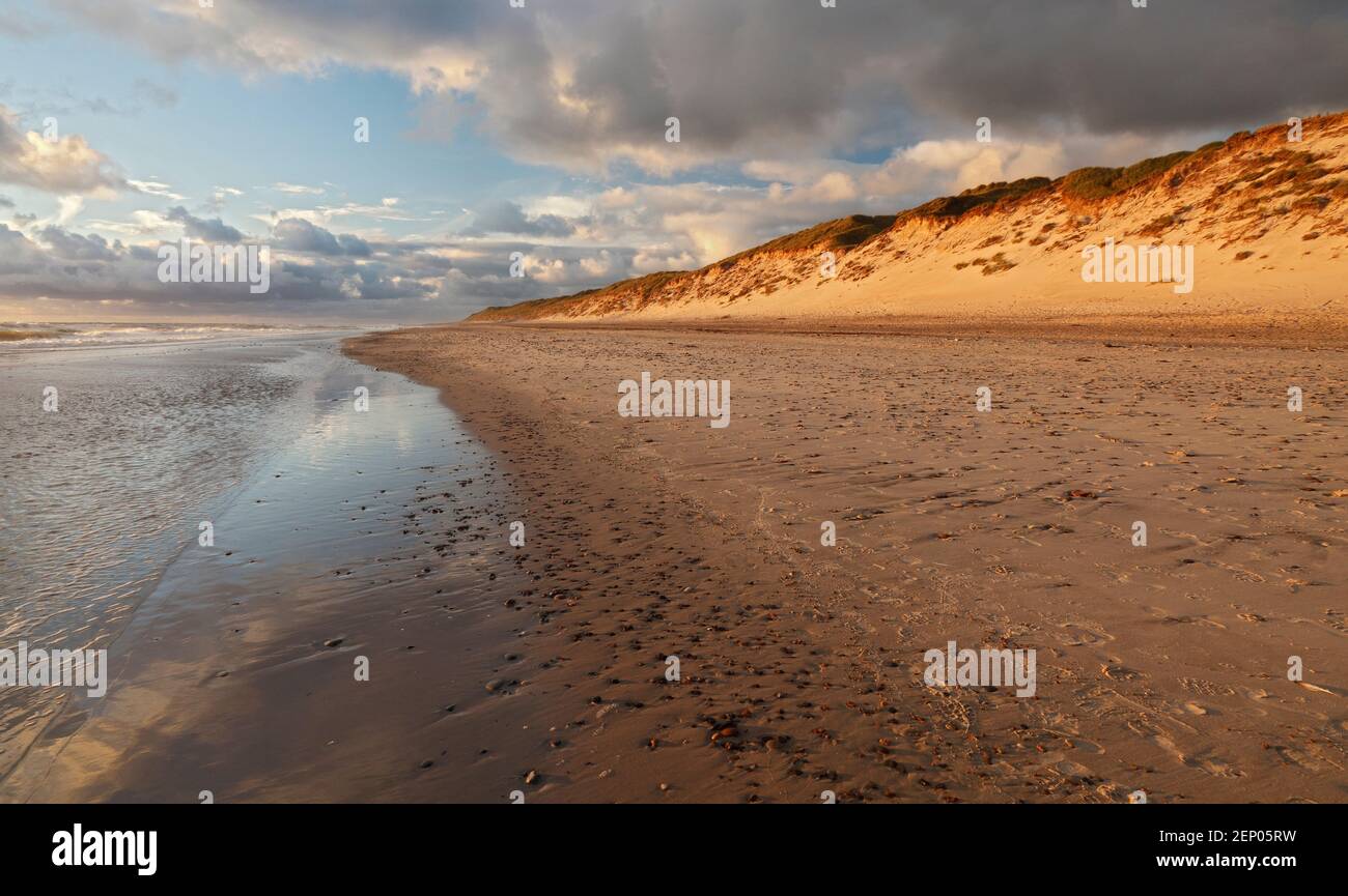 beach of Hvide Sande at the North Sea, Denmark Stock Photo - Alamy