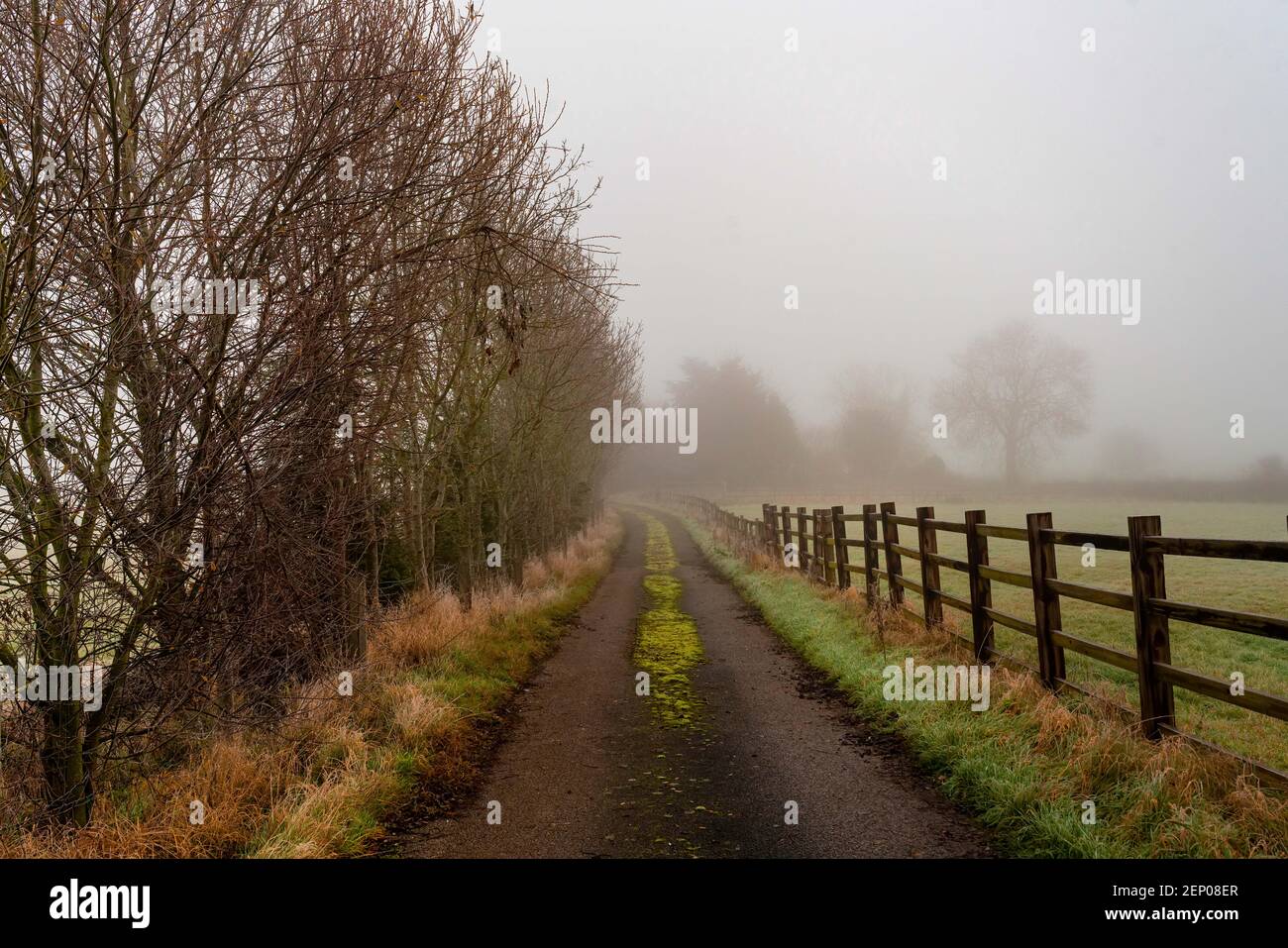 Sheep in wellies hi-res stock photography and images - Alamy